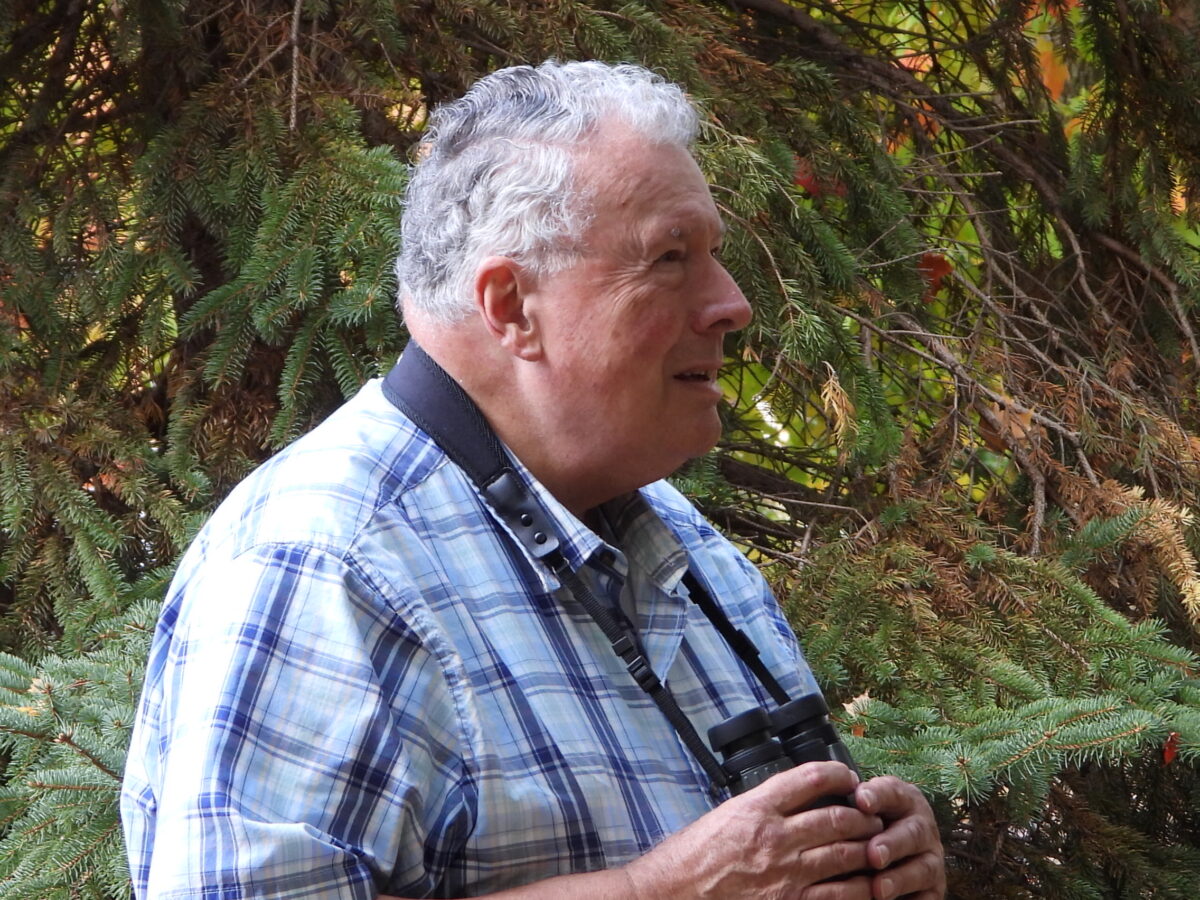 The RBA Little Gull Award - Rochester Birding Association