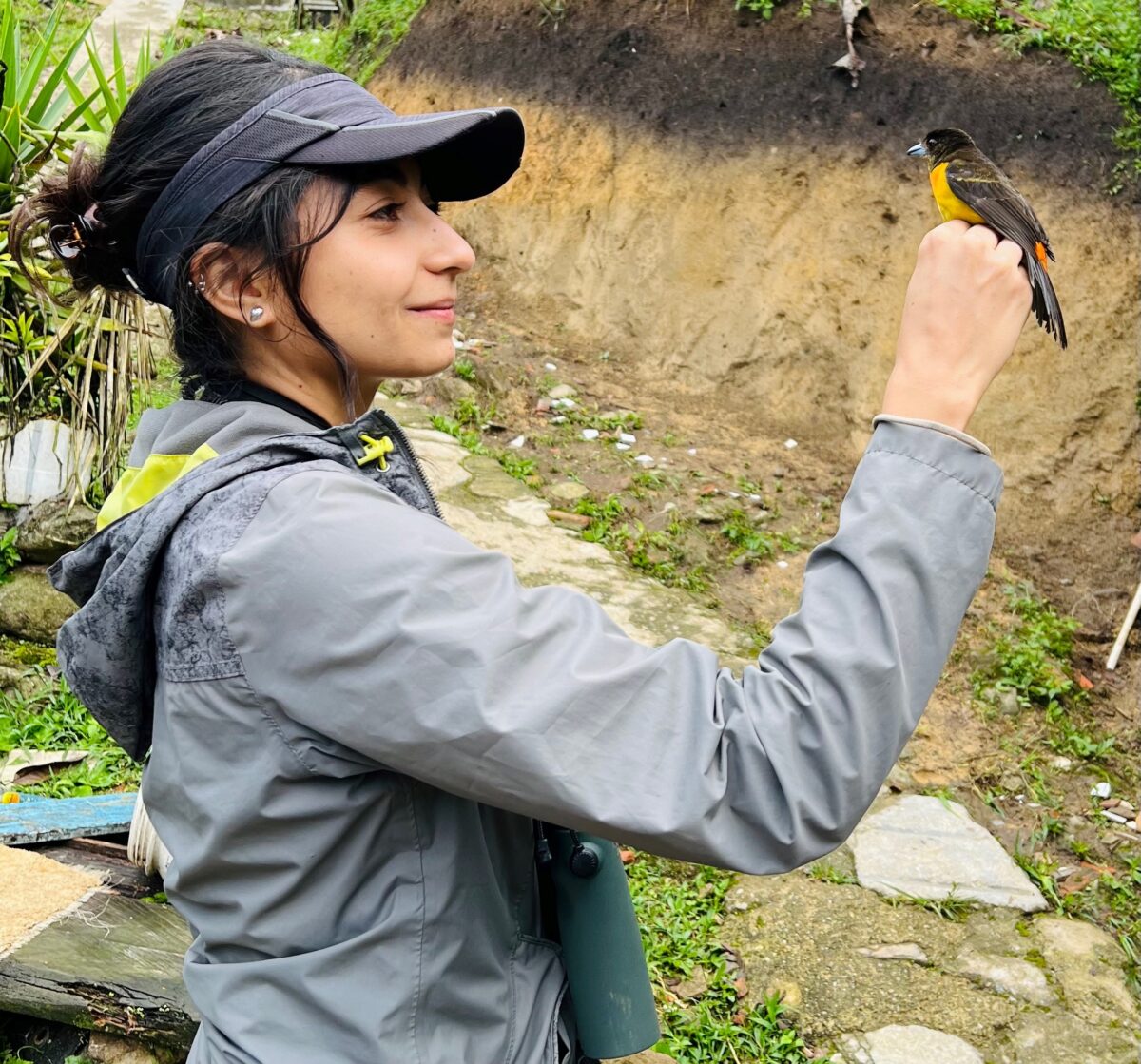 November: Maria Castano - Rochester Birding Association
