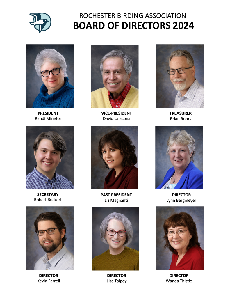 Board - Rochester Birding Association